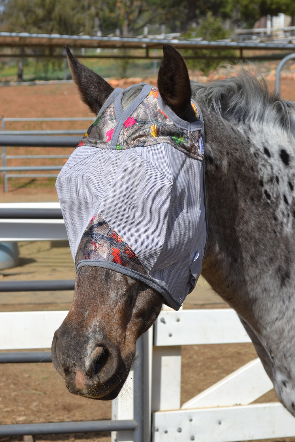 Fly Protection – Winchester Western Saddlery